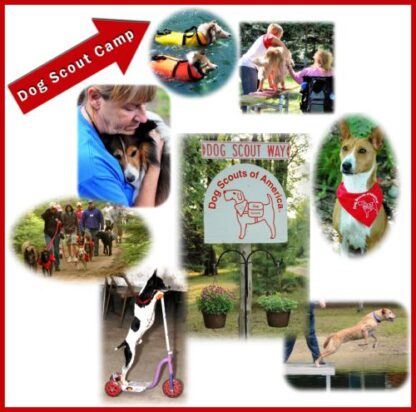 MI – Dog Scout Camp – Dog Scouts of America