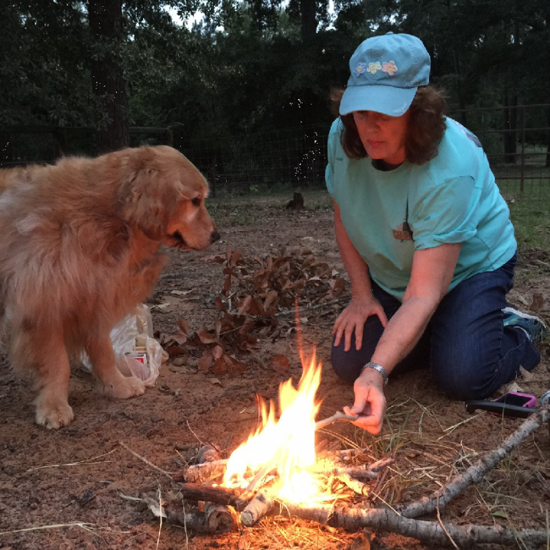 camp – Dog Scouts of America