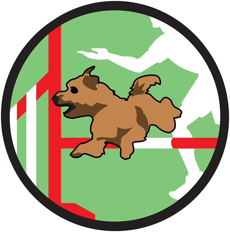 Agility Partners – Dog Scouts of America