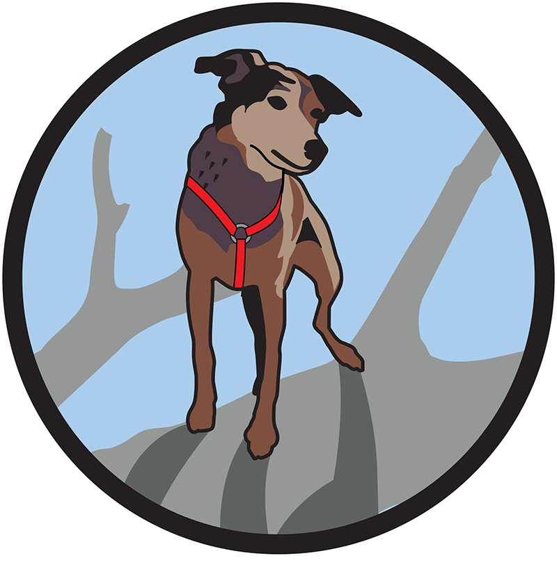 Parkour 1 – Dog Scouts of America