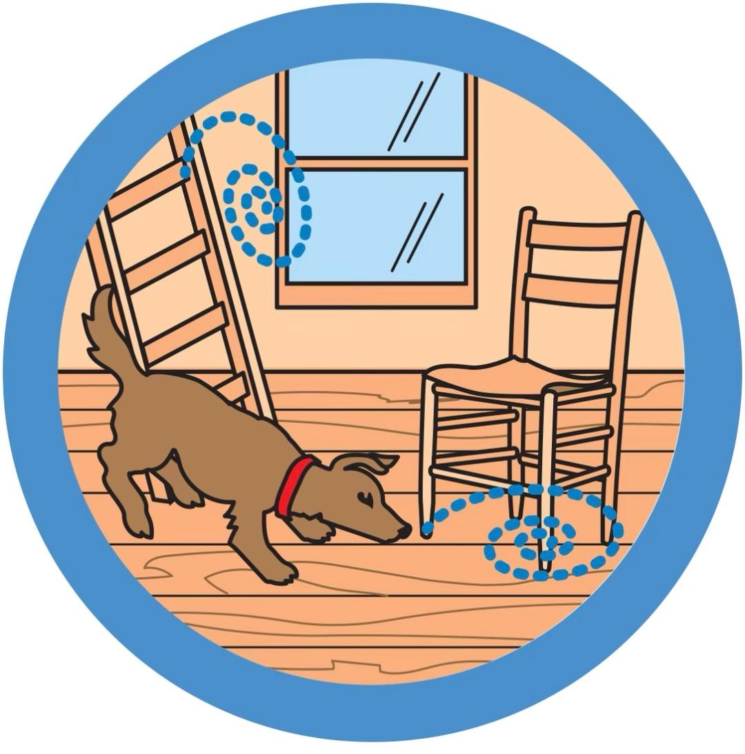 Dog Scouts of America – Learning New Things That We May Become More Helpful