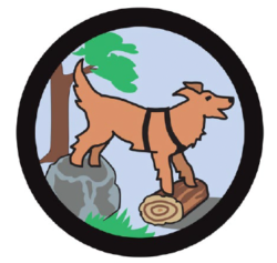 Parkour 2 – Dog Scouts of America